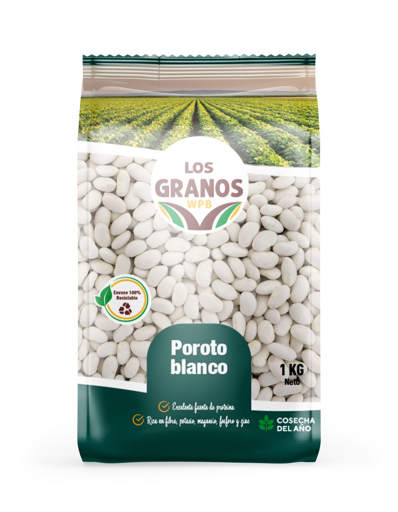 LAS MEJORES LEGUMBRES DEL MUNDO PARA CHILE | Los Granos WPB